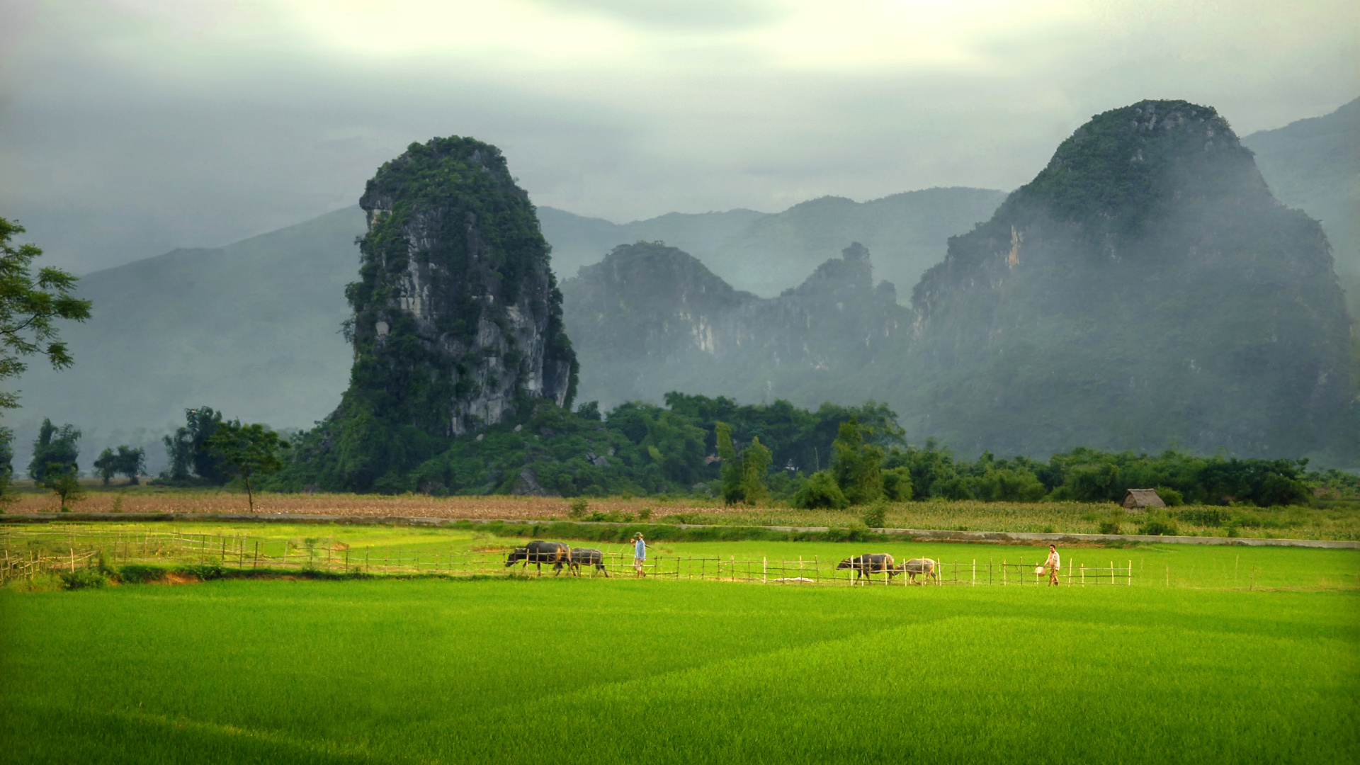 Ngoc Son Ngo Luong | Duurzaam toerisme | Veelzijdig Vietnam