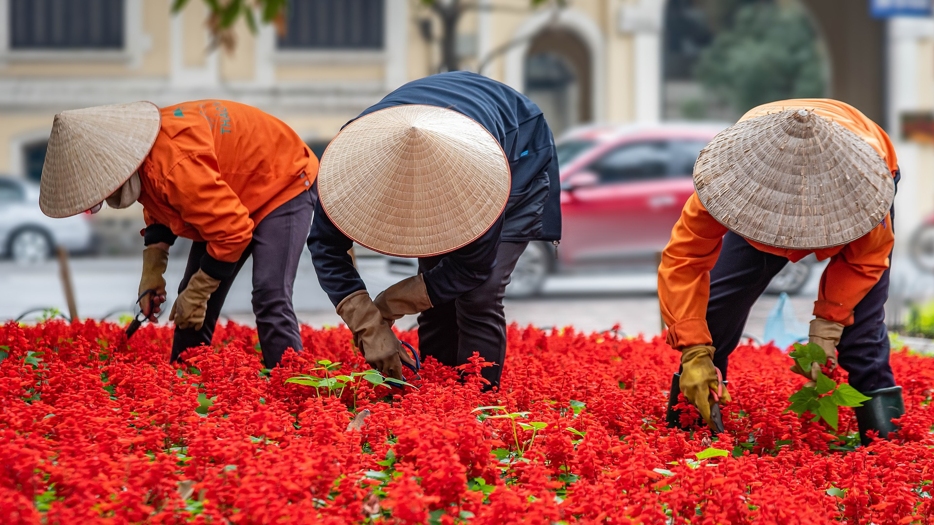 Inwoners Vietnam | Veelzijdig Vietnam